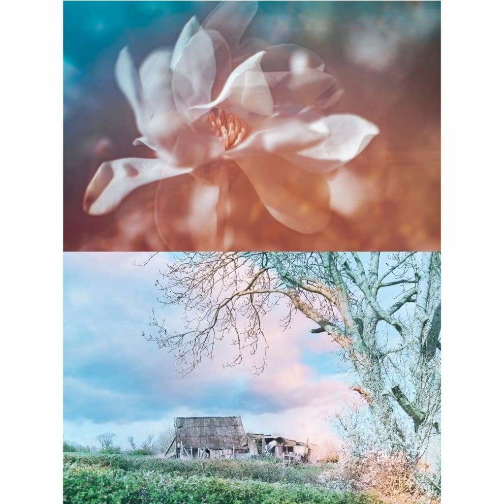 Collaborative Art: a photographic diptych - Portray Your Story